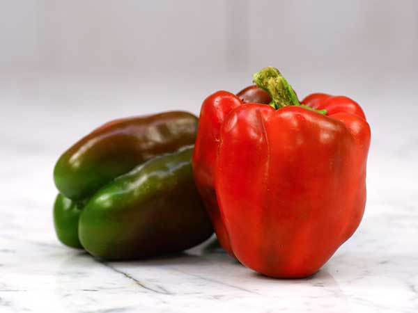 Sweet Peppers-King of the North – Hardy Seeds