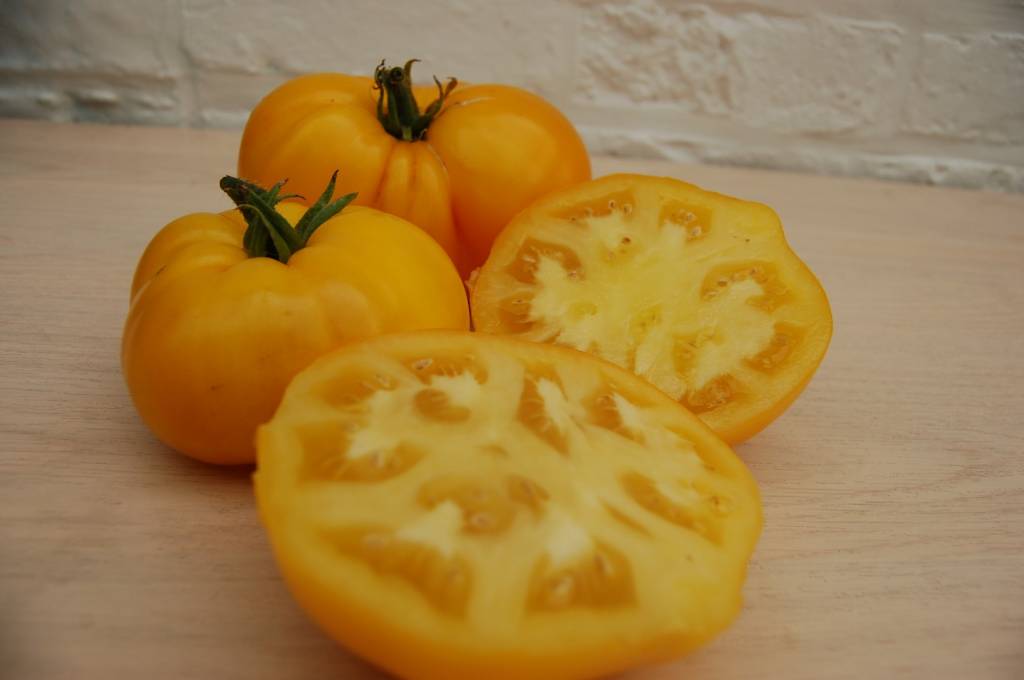 Tomato-slicing-Dakota Gold – Hardy Seeds