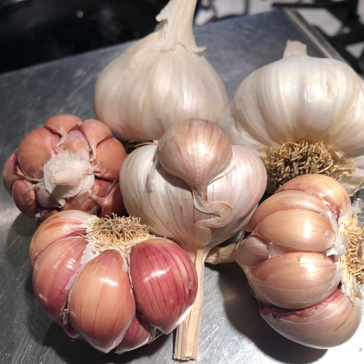 Ladakhi Red – Hardy Seeds