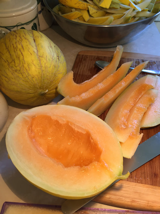 Melon-Hopi – Hardy Seeds