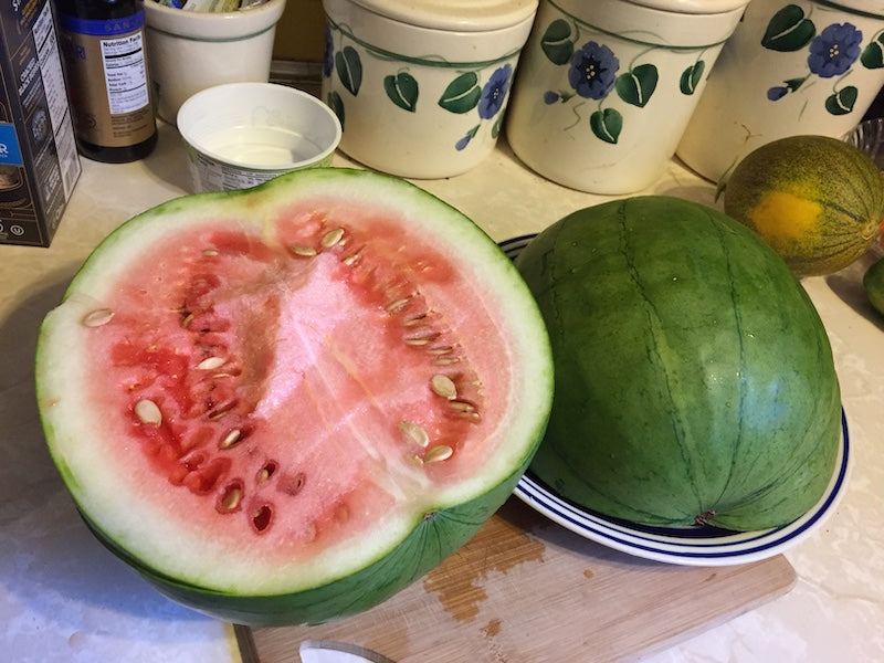 Watermelon-Diyarbakir Kurdish – Hardy Seeds